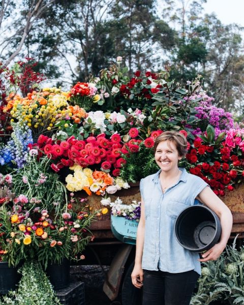Meet the Family | Jonima Flowers