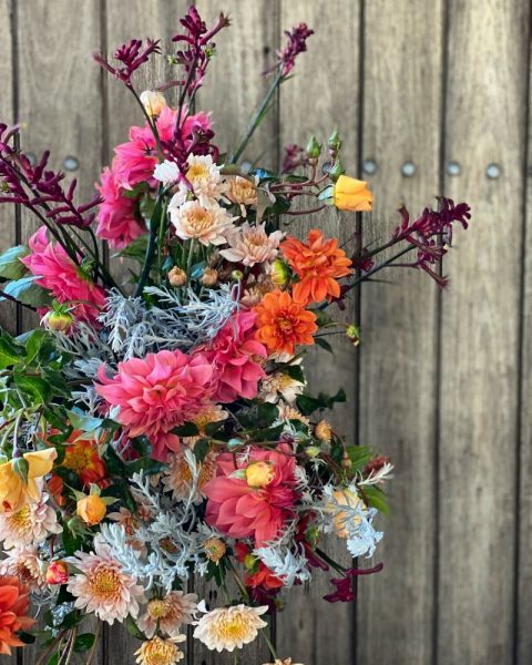 Bright and Bold | Jonima Flowers