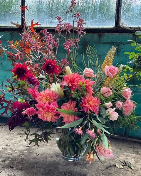 Bright and Bold | Jonima Flowers