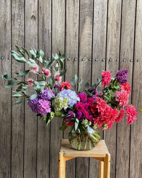 Bright and Bold | Jonima Flowers
